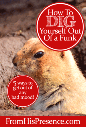 How To Dig Yourself Out Of A Funk - From His Presence®