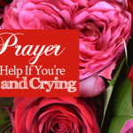 Prayer-for-Help-If-You're-Sad-and-Crying-FB - From His Presence®