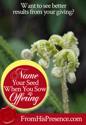 Name Your Seed When You Sow An Offering - From His Presence®