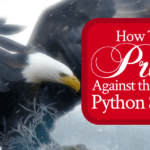 How-to-Pray-Against-the-Python-Spirit-FB - From His Presence®