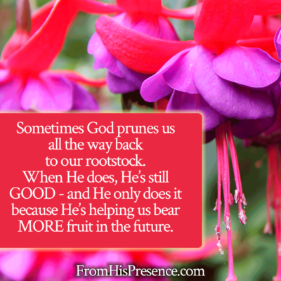 Encouraging Word: It Is a Season of Pruning - From His Presence®