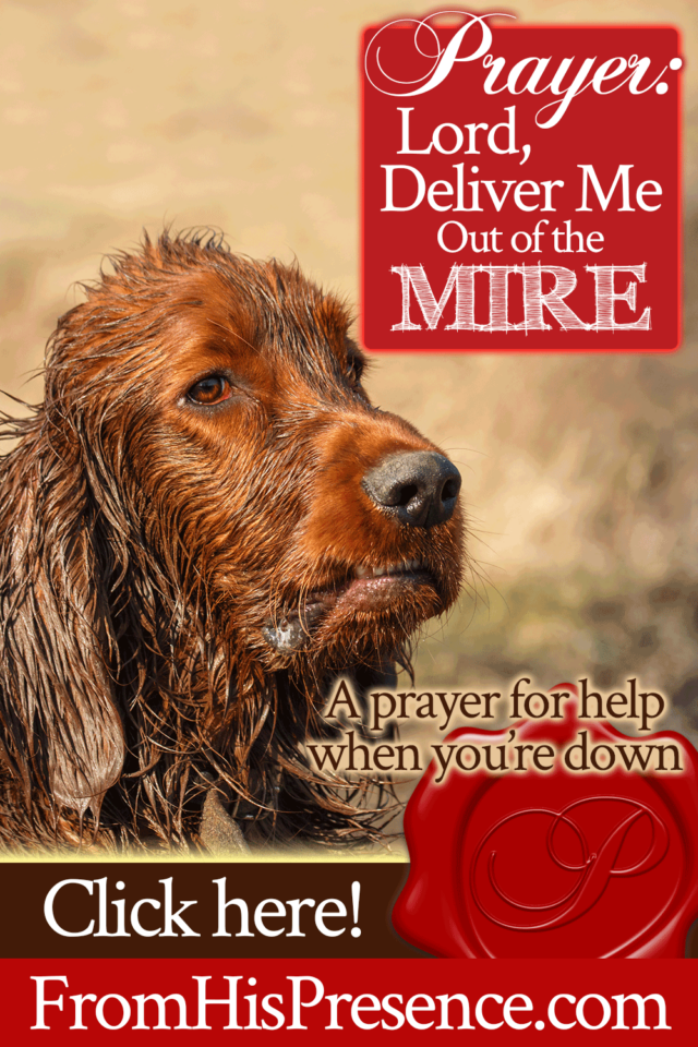 Prayer: Lord, Deliver Me Out of the Mire - From His Presence®