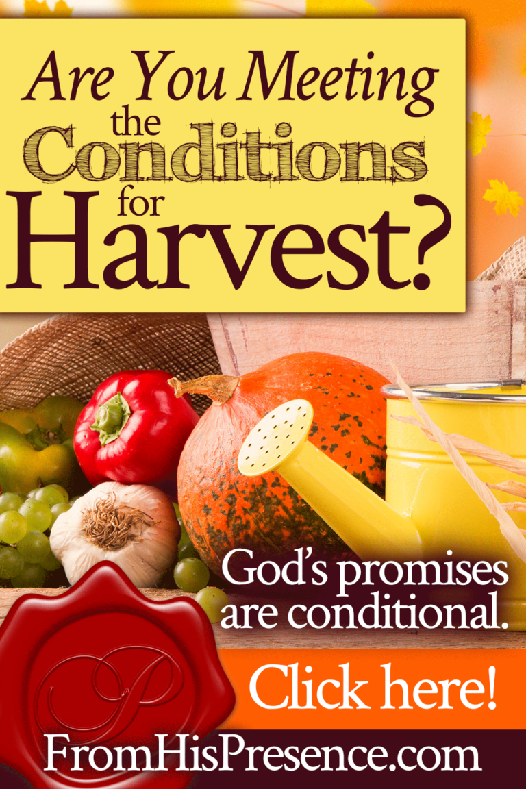 Are You Meeting the Conditions for Harvest? - From His Presence®