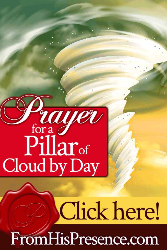 Prayer for a Pillar of Cloud by Day - From His Presence®