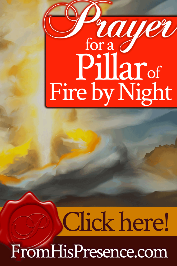 Prayer for a Pillar of Fire by Night - From His Presence®