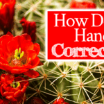 How-Do-You-Handle-Correction-FB - From His Presence®