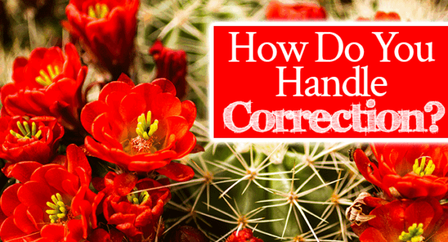 How-Do-You-Handle-Correction-FB - From His Presence®