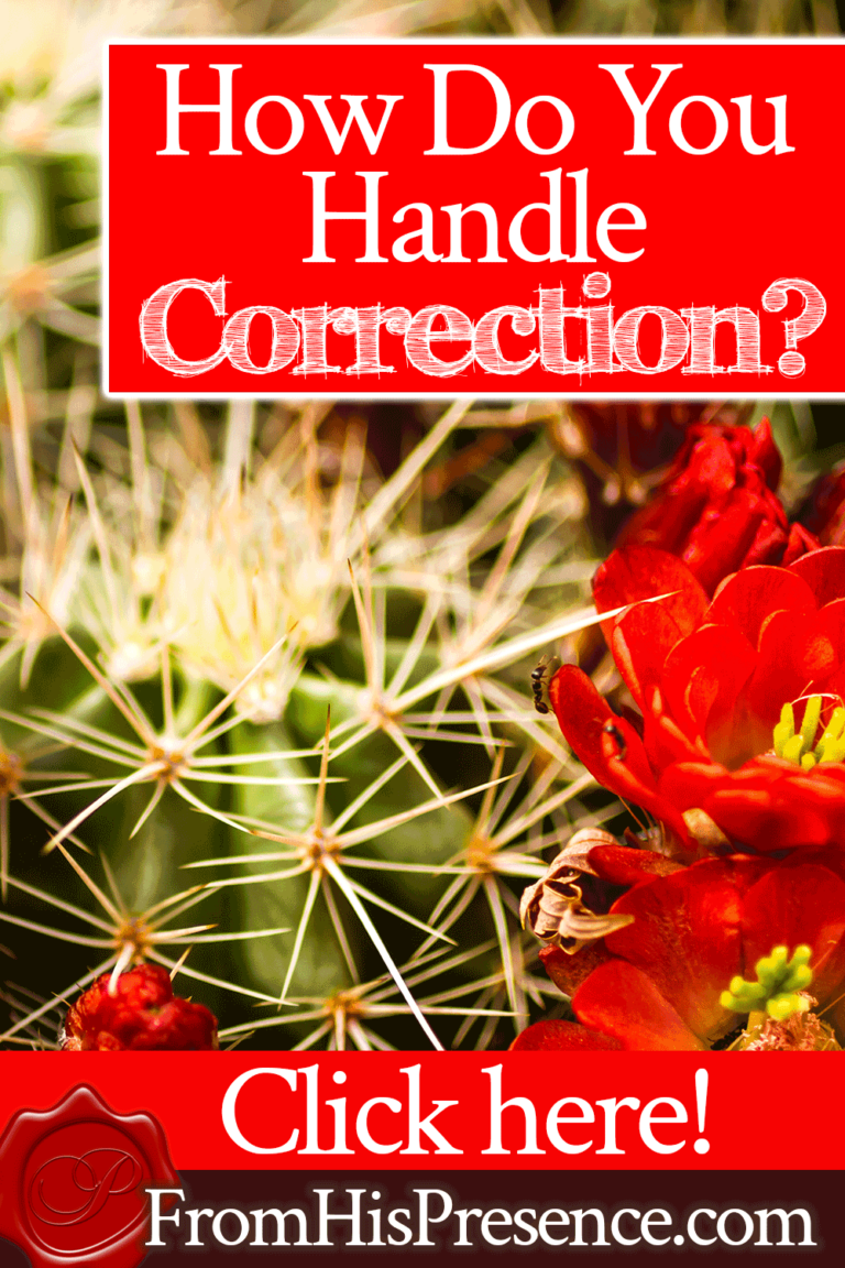 How Do You Handle Correction? - From His Presence®