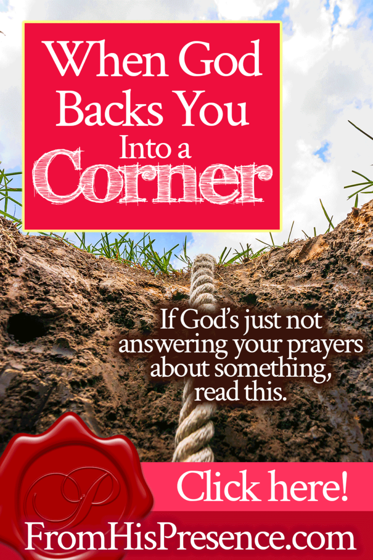 When God Backs You Into a Corner - From His Presence®