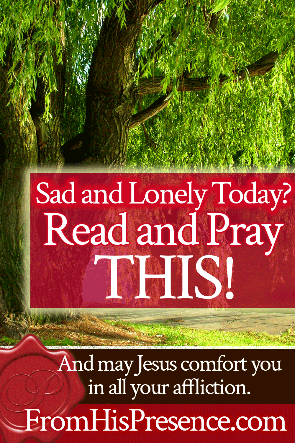 Sad and Lonely Today? Read and Pray This! - From His Presence®
